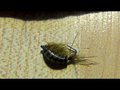 МУХОМОРМЫШИ и НИМФОШАРИКИ от Владимира Зуева. - YouTube