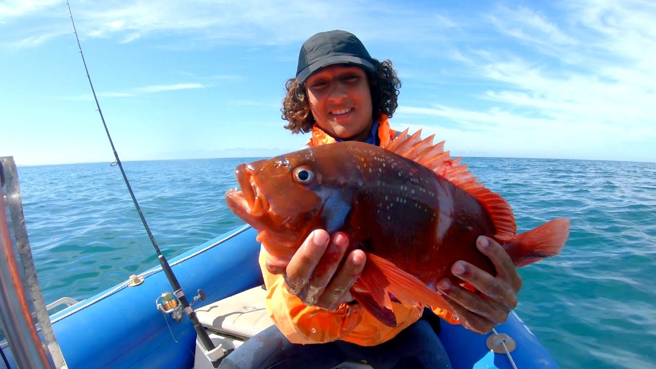 Free dive / Red Roman catch and cook - YouTube
