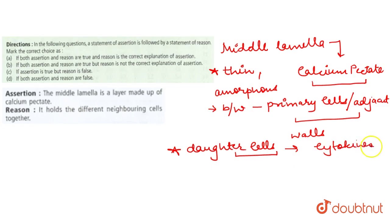 Assertion : The middle lamella is a layer made up of calcium pectate ...