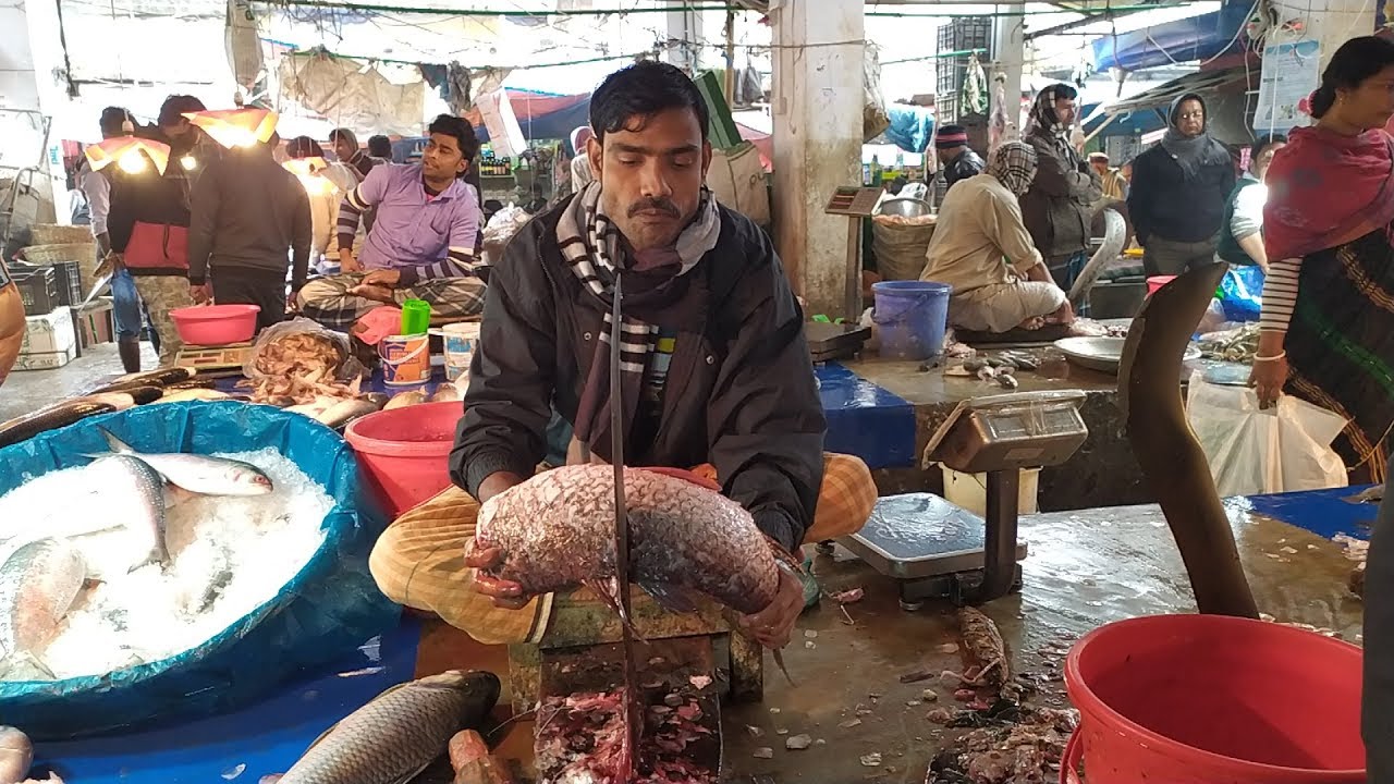 Efficient Fish Cutter Live Fish Cutting Skills In Fish Market 2020 ...