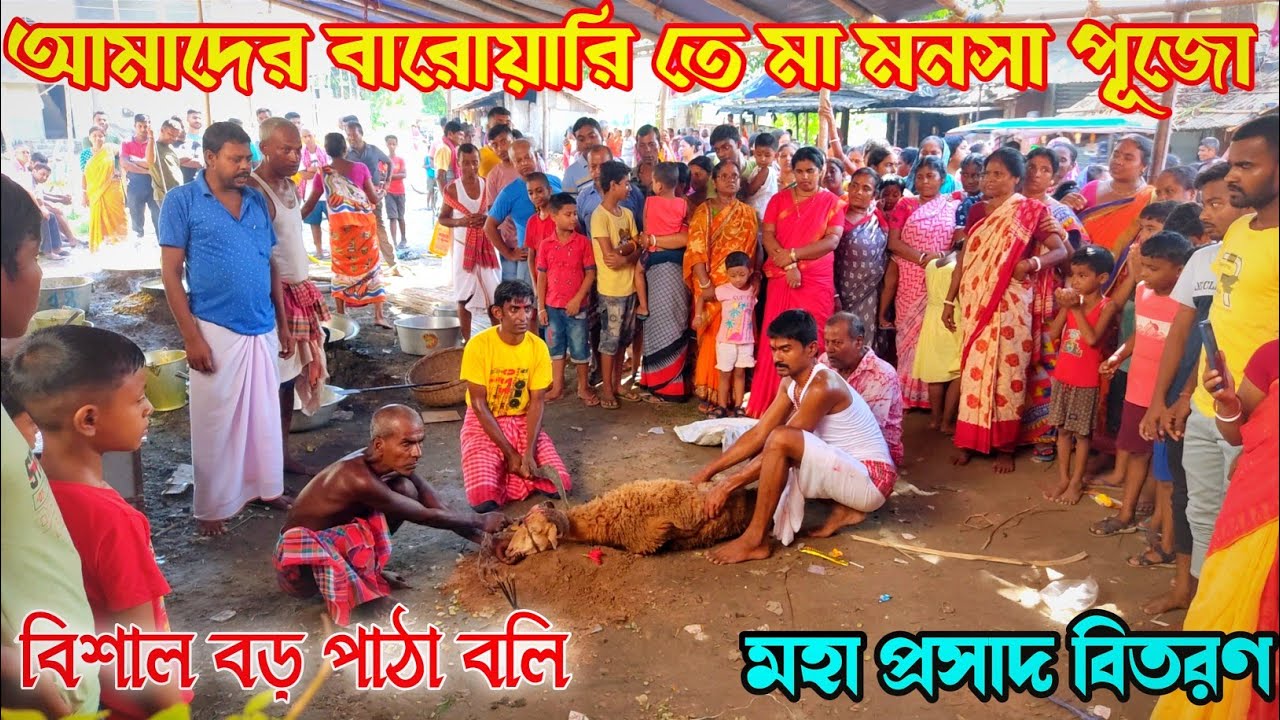 Maa Manasha Puja 2023 | Village Manasha Mandir | Manasa Puja 2023 # ...