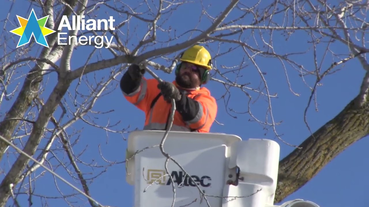 Alliant Energy | Tree Trimming Guidelines - YouTube