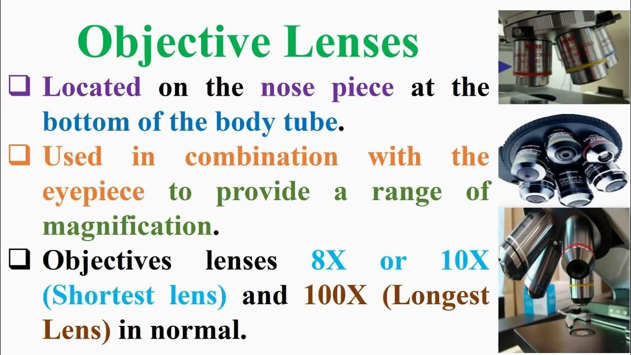 Functions of Objectives Lenses of Light Microscope - YouTube