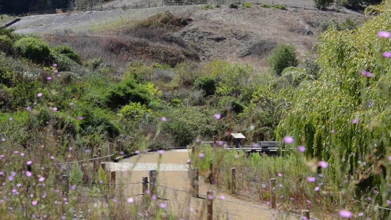 Discover El Polín Spring - YouTube