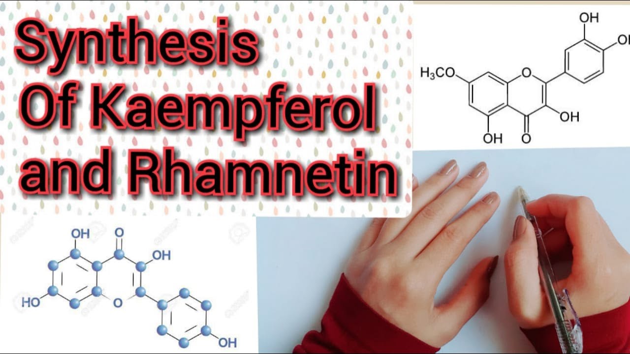 Detailed Mechanism for the Synthesis Of Kaempferol and Rhamnetin ...