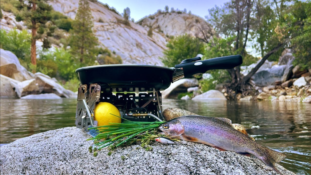 DELICIOUS Wild Trout Catch & Cook with Fresh Herbs! | River Fishing for ...
