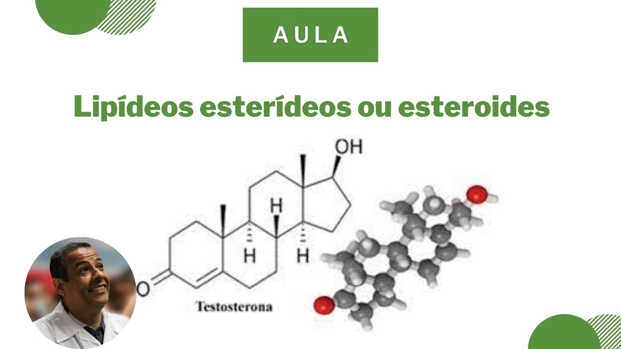 Lipídeos - esteroides - YouTube