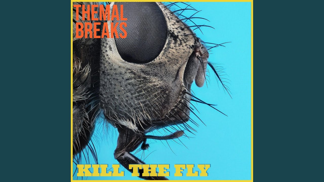 Kill The Fly - YouTube