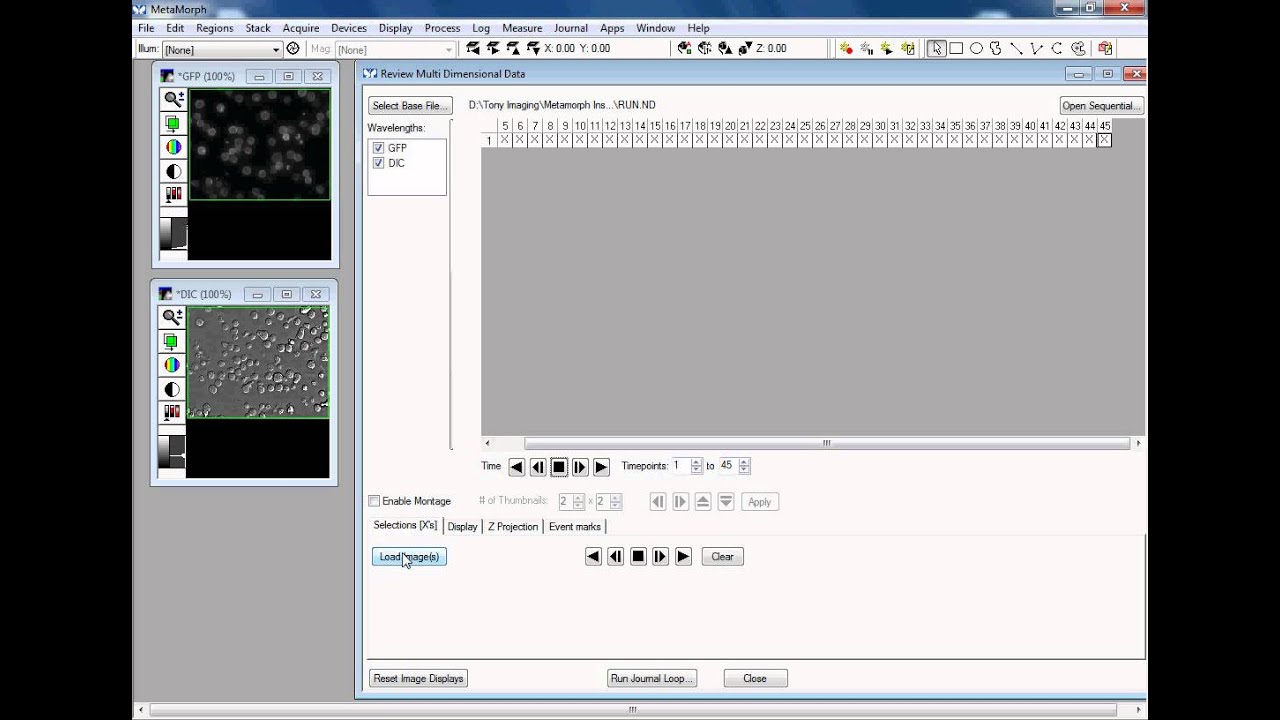 Metamorph Multi-Dimensional Review - YouTube