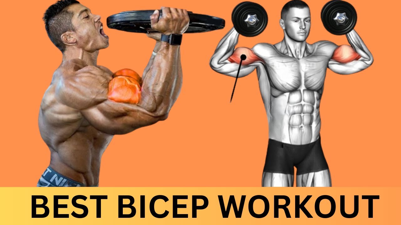 How To Build Your biceps workout Fast (6 Effective Exercises) - YouTube