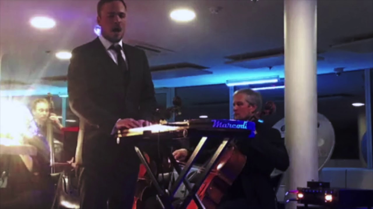 Valter Soosalu Performing Aria by Handel with the Harpejji K24 - YouTube