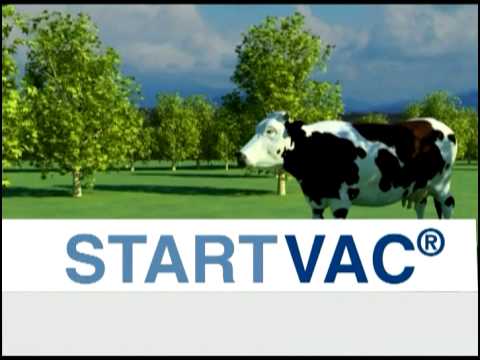 STARTVAC - YouTube