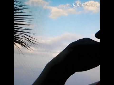 Adını Dağlara Yazdım.3T