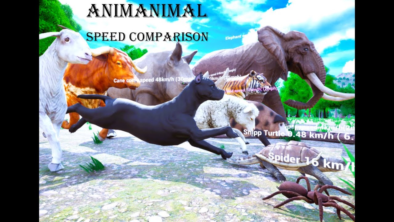 Animal Run Speed Comparison | animal faster with wild animal # ...