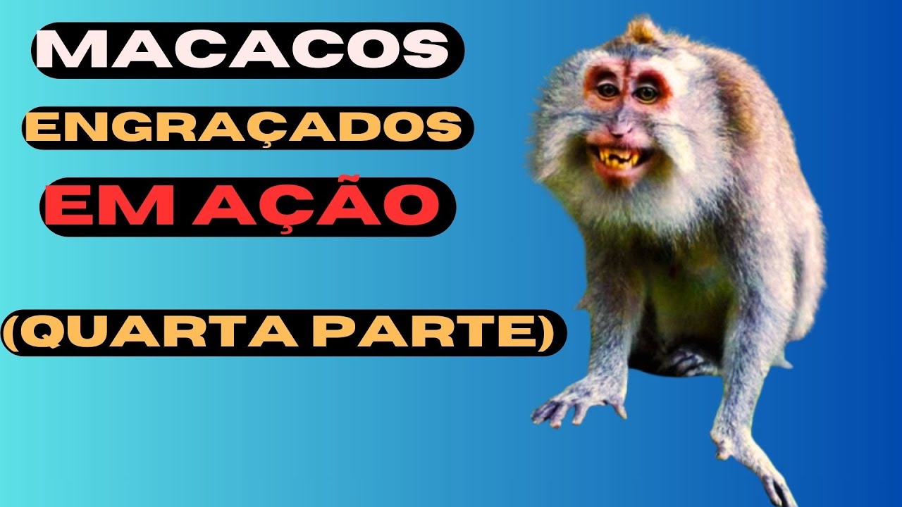 MACACOS ENGRAÇADOS Em AÇÃO QUARTA PARTE Momentos Hilários que Vão Te ...