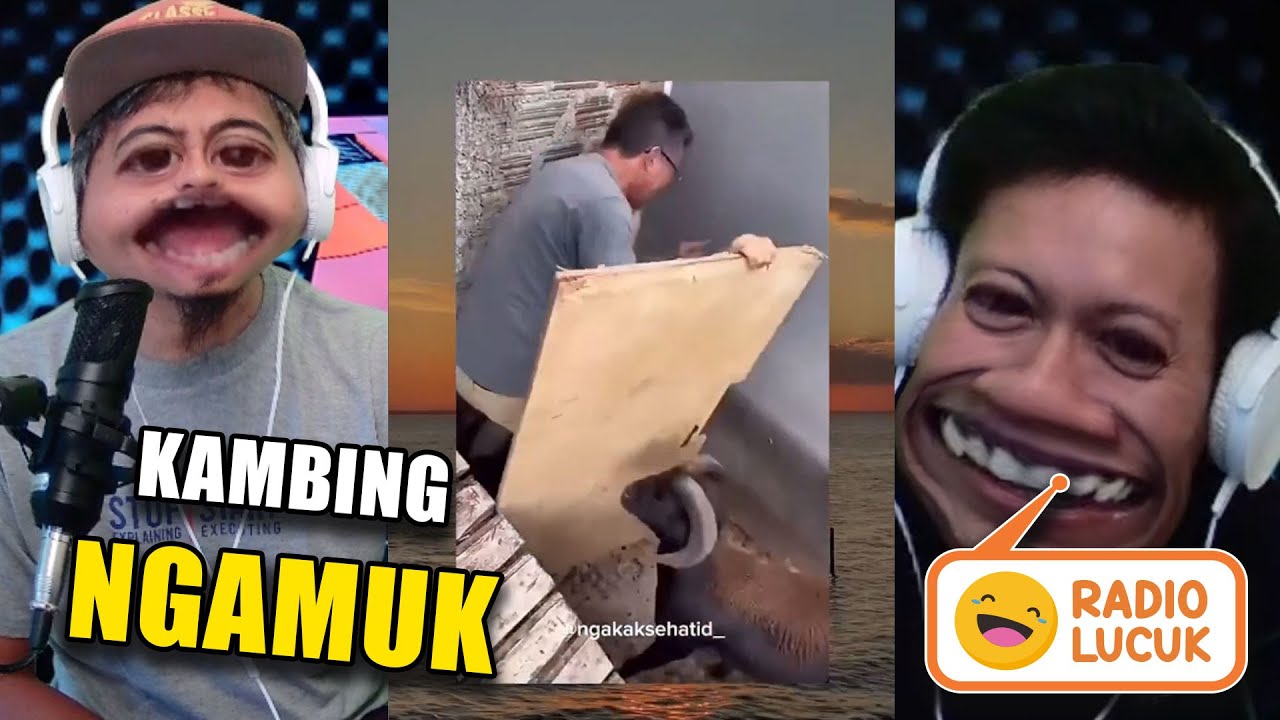 KAMBING NGAMUK IDUL ADHA CORE - REACTION MEME RADIO LUCUK - YouTube