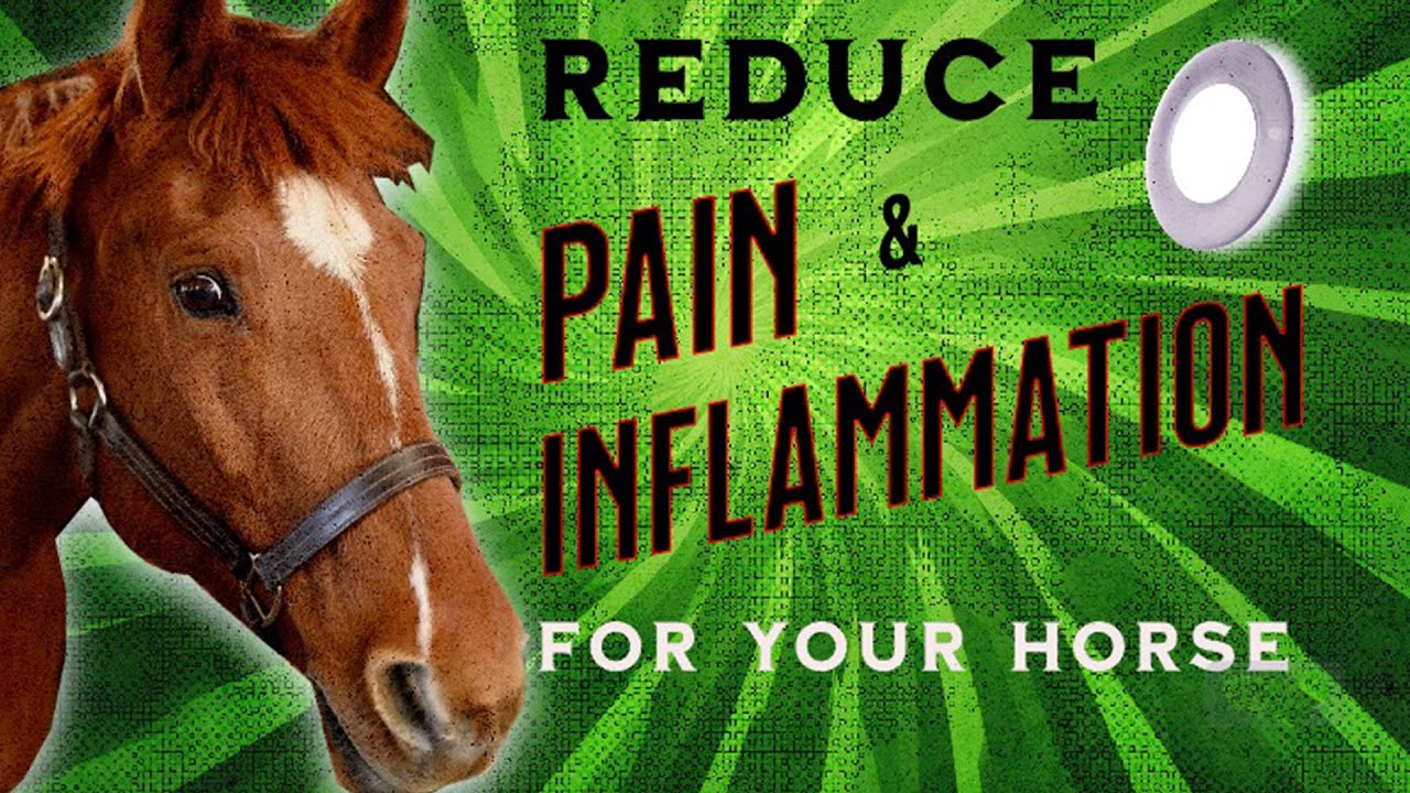 Aculife Patches - Equine - YouTube