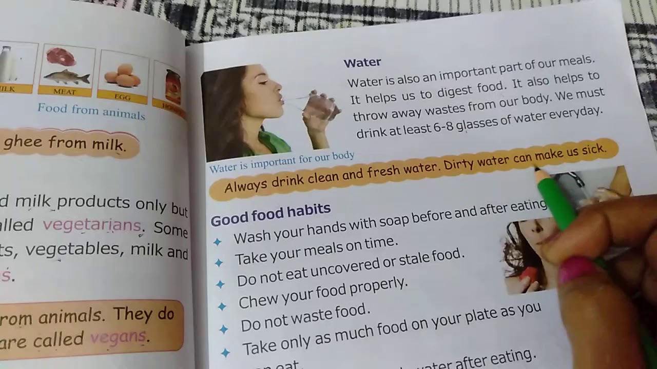 CLASS 2 EVS LESSON 4 - YouTube