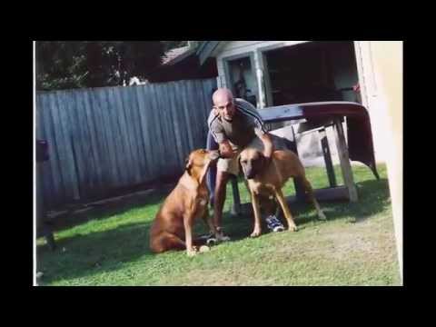 Miss Cheyenne - My best friend, My little girl.