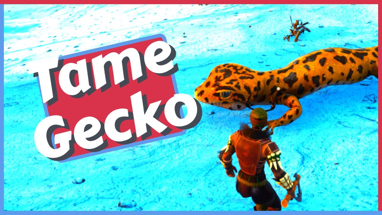 How To Tame A Gecko in Smalland - YouTube