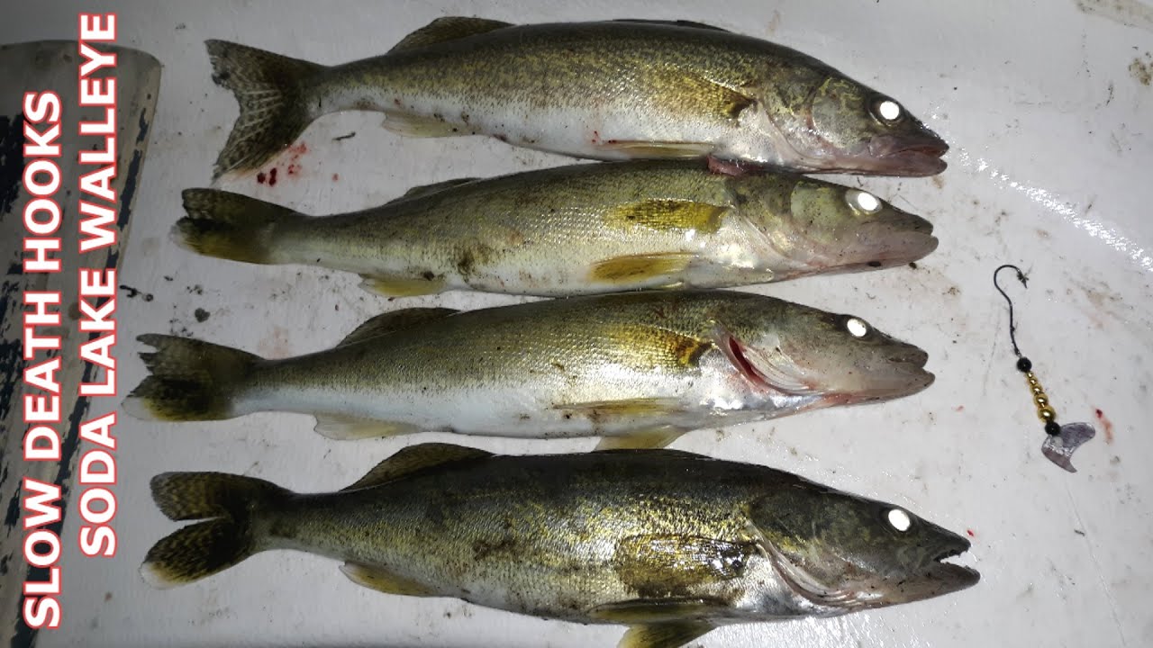 Slow Death Rigs for Soda Lake Walleye (re-upload) - YouTube