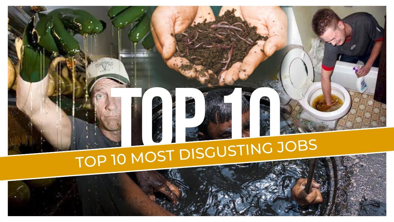 TOP 10 |🤢Top 10 Most Disgusting Jobs | Unveiling the Gritty Side of ...