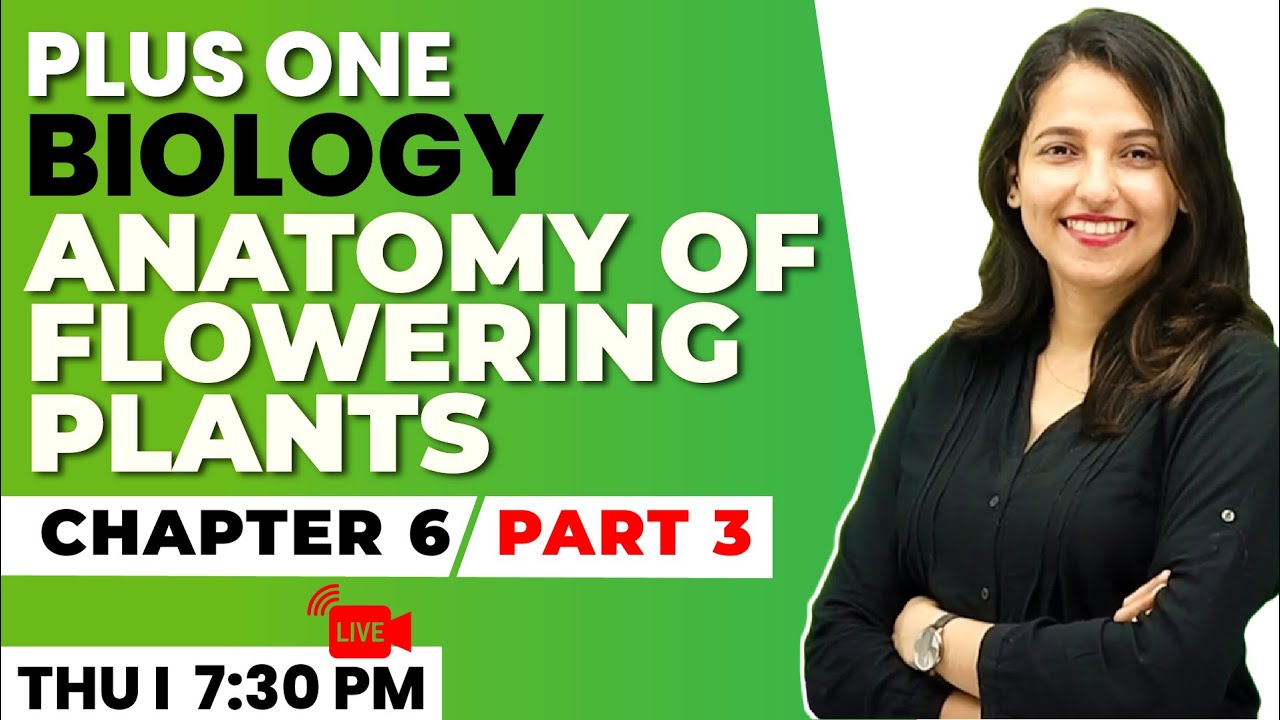 Plus One Biology | Anatomy of Flowering Plants Part 3| Chapter 6 | Exam ...