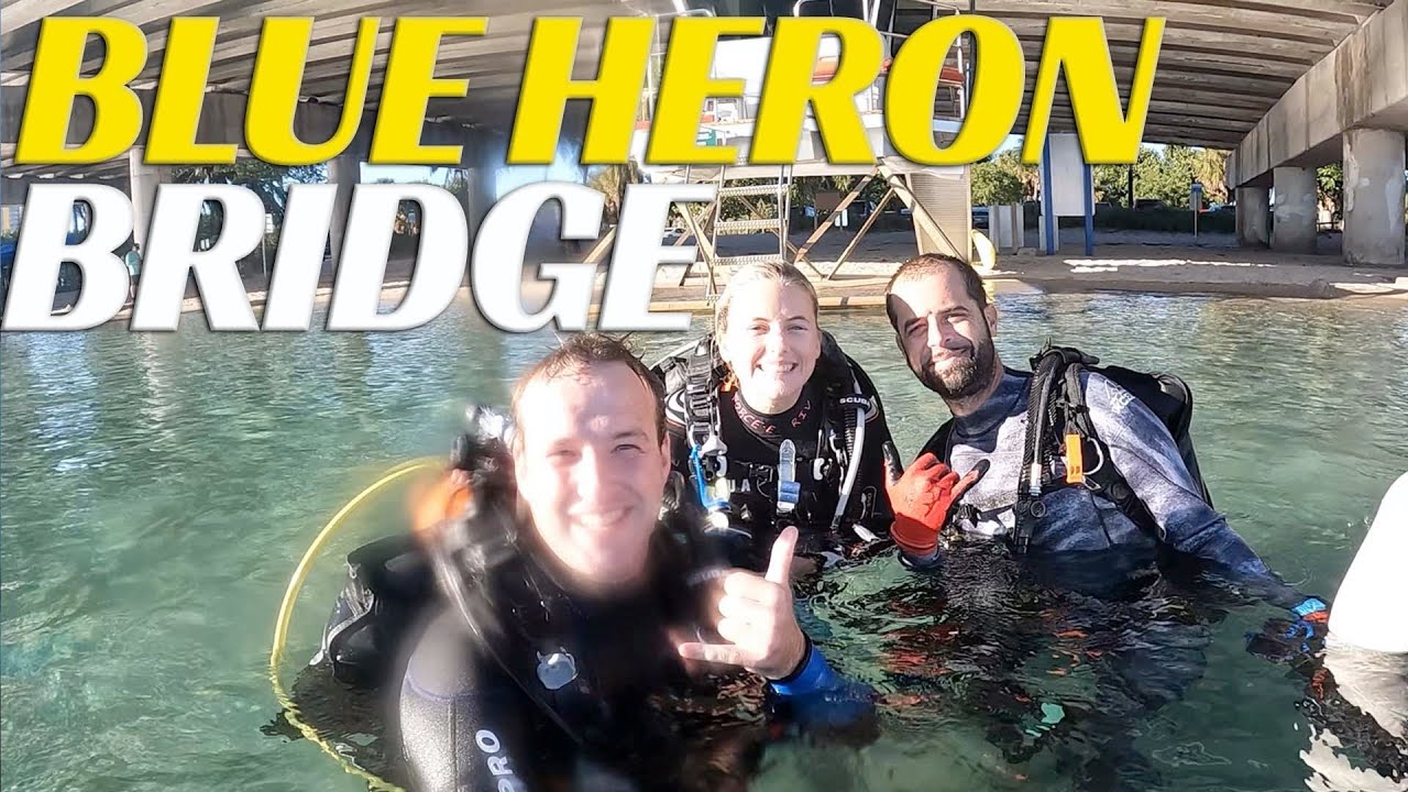BEST SHORE Dive In North America - Blue Heron Bridge In Florida - Ep 94 ...