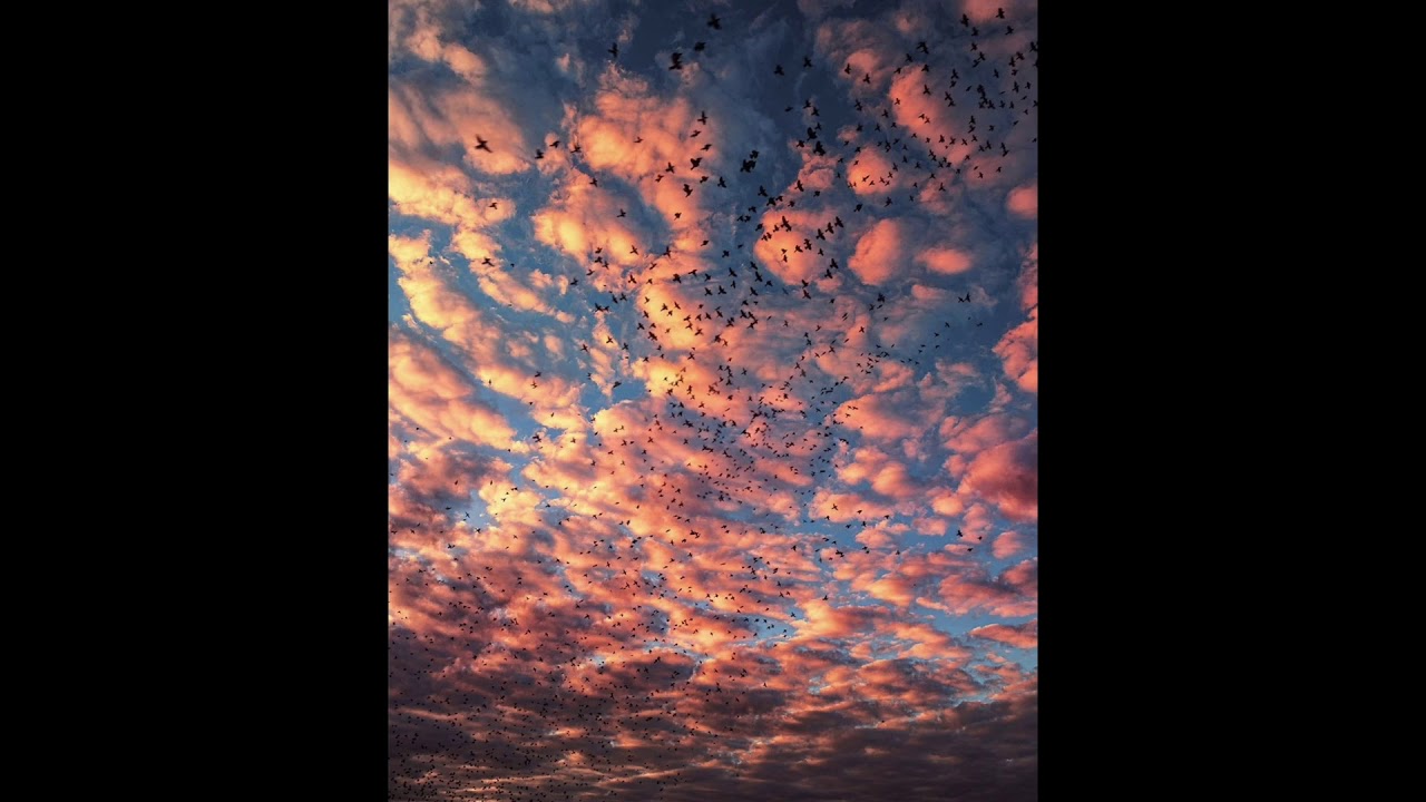 The Echelon Effect - The Best Place To Hide - YouTube