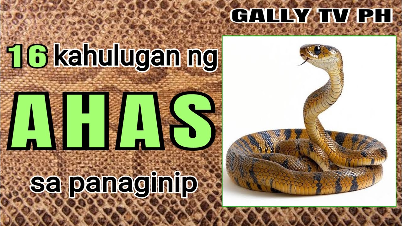 16 kahulugan ng AHAS sa panaginip #ahassapanaginip # ...