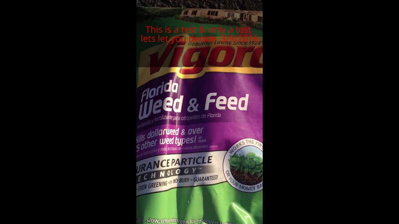 vigoro fertilizer weed and feed guarantee - YouTube