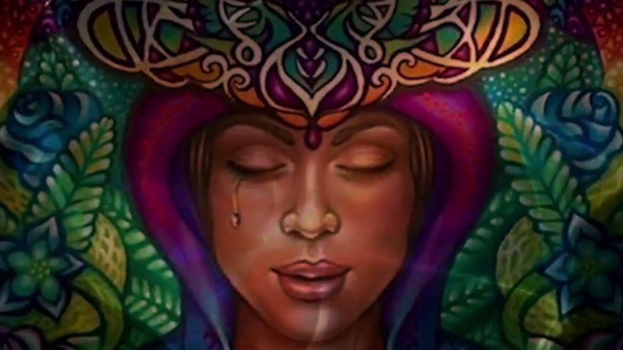 Ayahuasca - 01 Syrian Rue Plant Setting Video - Take Your Syrian Rue ...