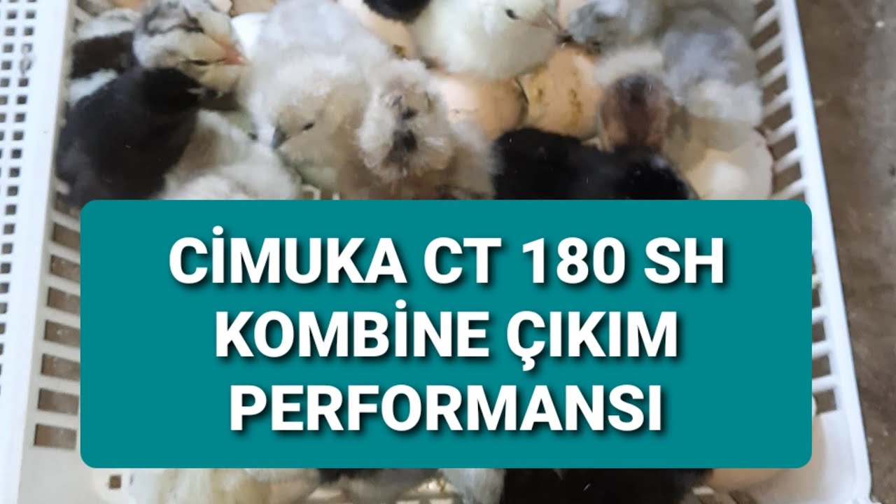 CİMUKA CT 180 SH KULUÇKA MAKİNESİ KOMBİNE YÜKLEMEDE 9 TEMMUZ 2020 ÇIKIM ...