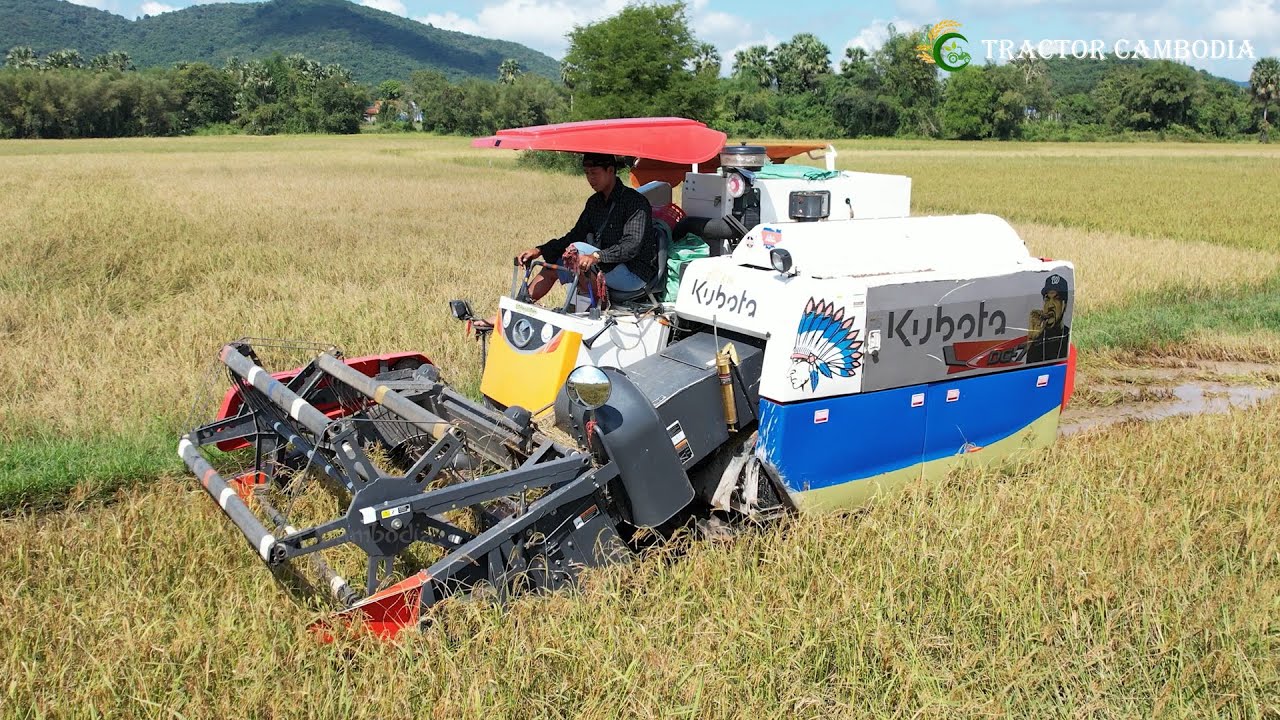 Nice Farms Rice Harvesting By Kubota Harvester Machinery | Cool And ...