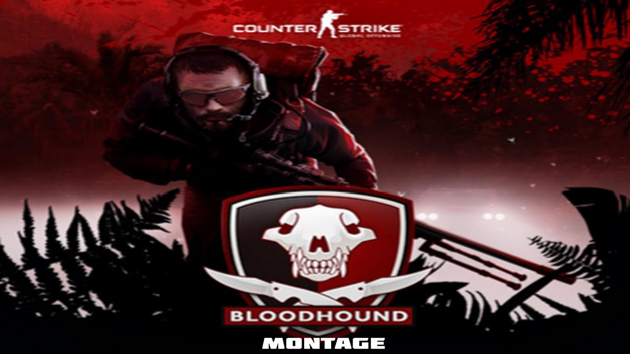 CSGO | Bloodhound Map Montage | Zoo - YouTube