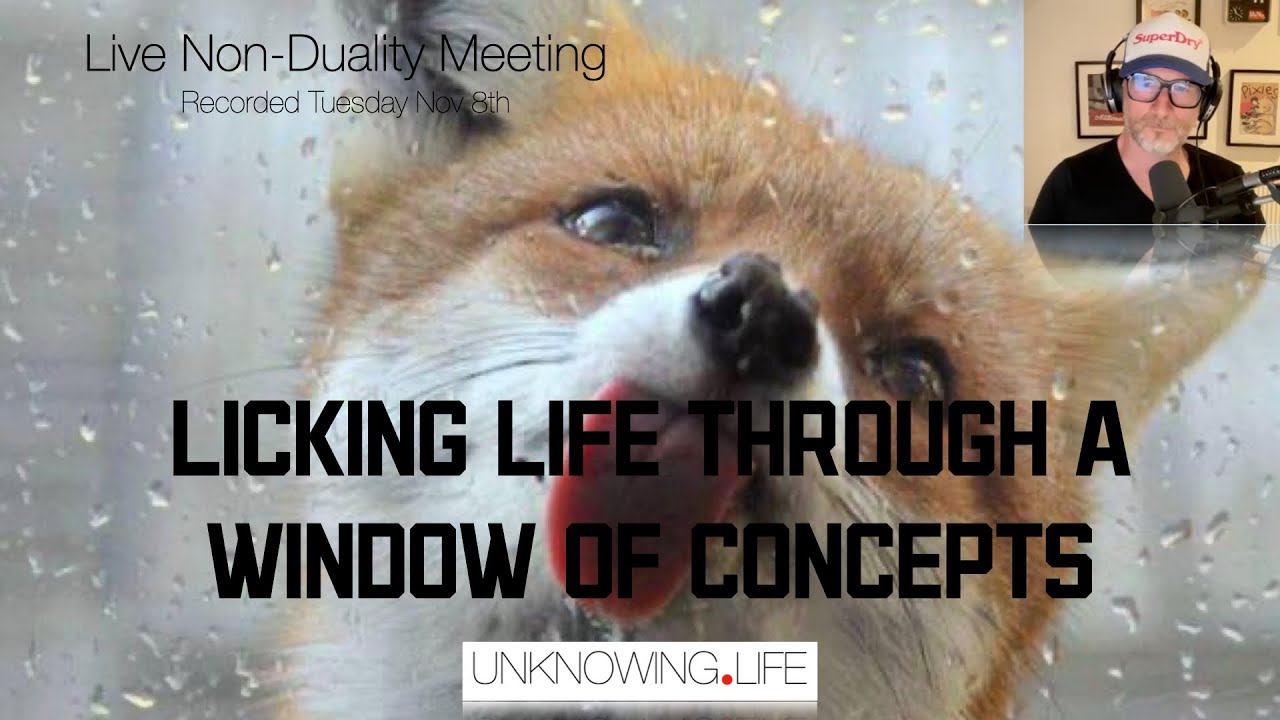 "Licking Life through a window of concepts" - Live Non-Duality Meeting ...