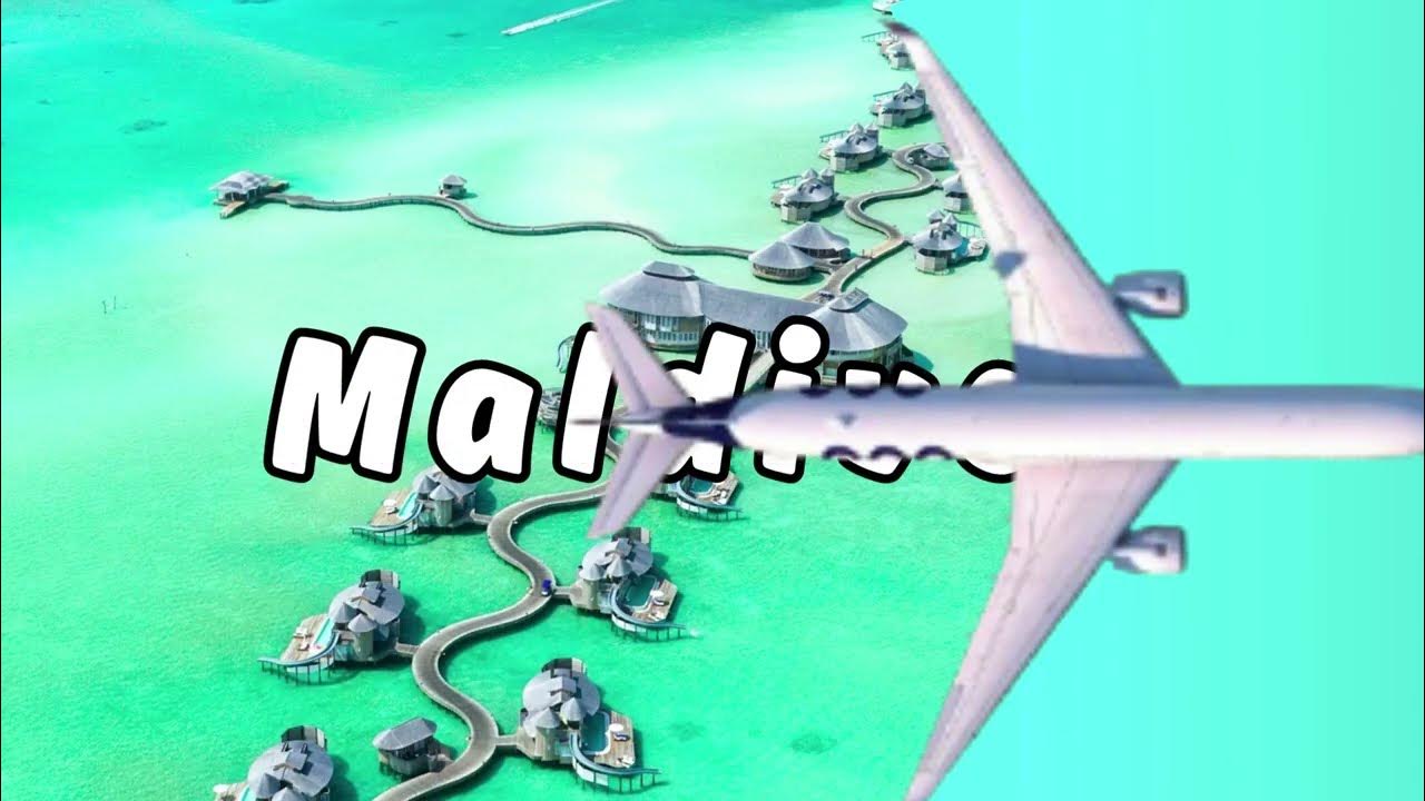 Canva Tutorial: Travel Intro Animation using Text Reveal Effect | Transitions - YouTube