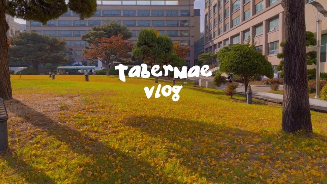 Sub 한국외대 브이로그🍁기숙사 룸투어 외대 정문 스타벅스 이문동에서 혼밥하는 일상 외대 김밥 책 추천 인생 영화