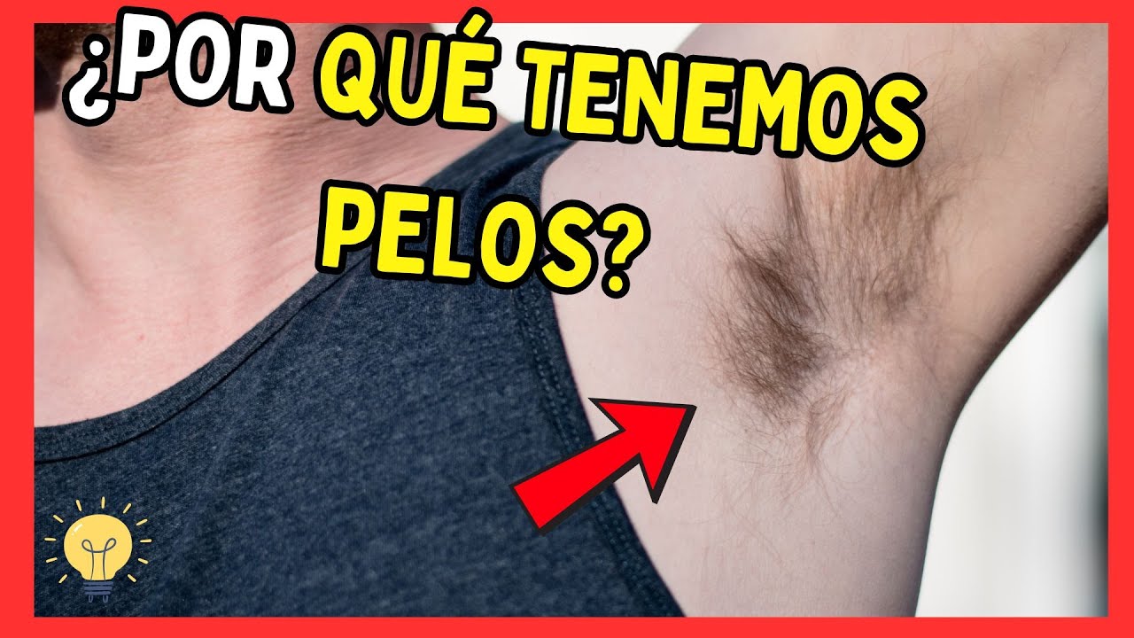 ¿POR QUÉ TENEMOS PELOS EN LAS AXILAS? - YouTube