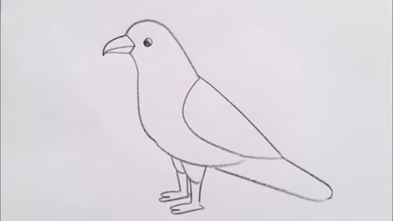 how to draw crow drawing ।। easy step by step draw @Artist Art - YouTube