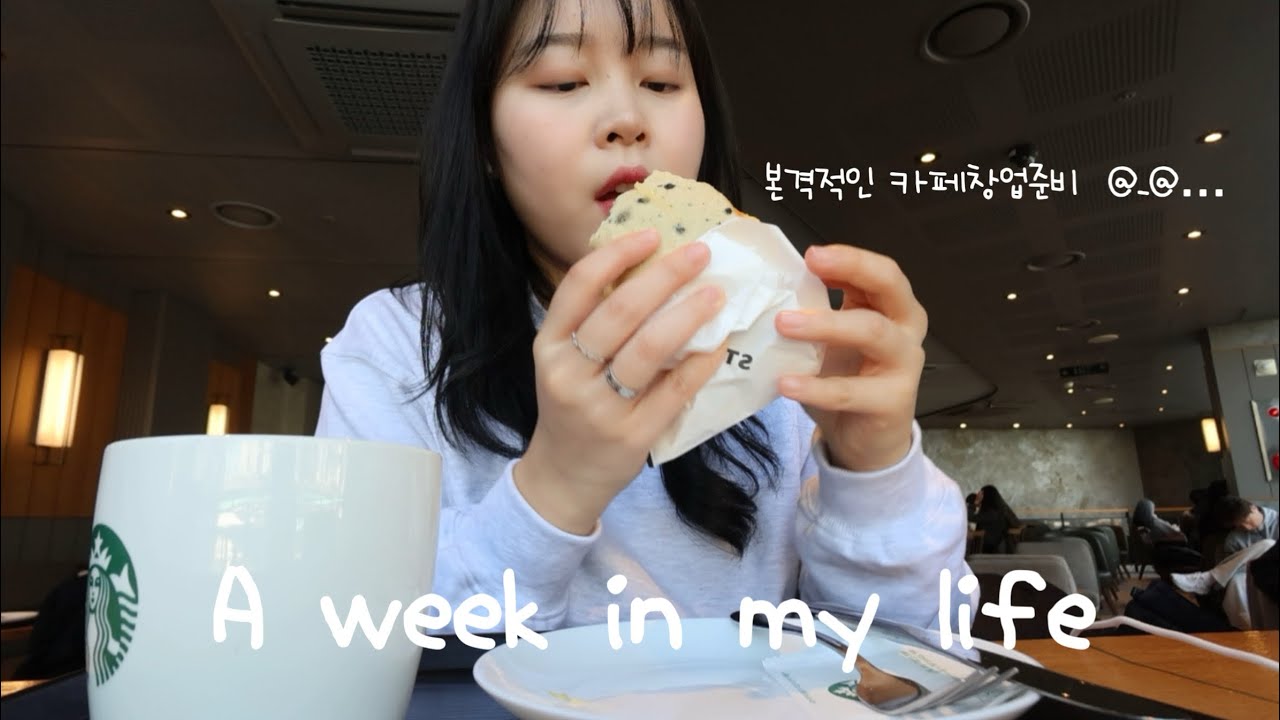 Vlog 자영업자 브이로그 1 험난한 창업준비 시자아악🔥 원두 찾으러 요리조리 위생교육 듣기 로고제작 빵