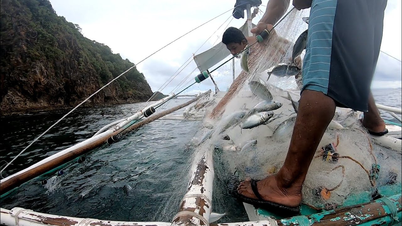 TRADITIONAL NETFISHING ISDANG TAMARONG O BLACKFIN SCAD | Raymart tv mix ...