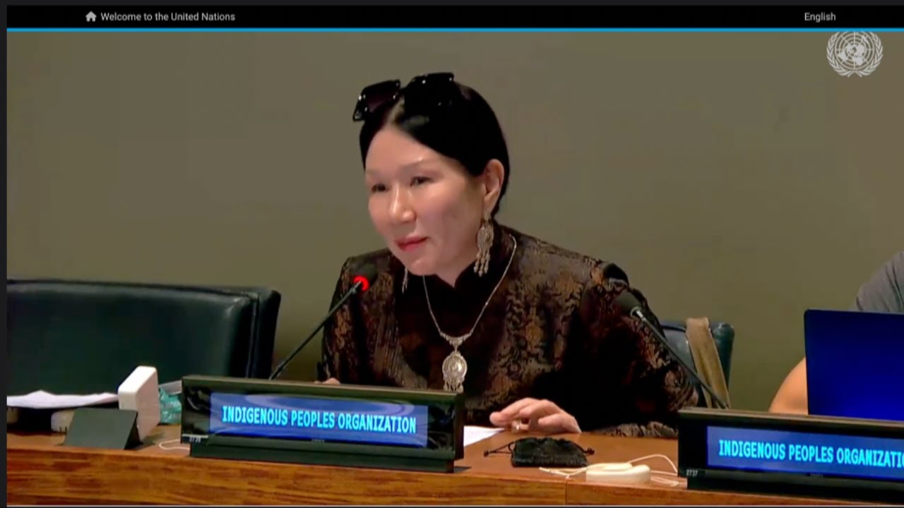Maria Khankhalaeva's speech at the United Nations Permanent Forum of ...