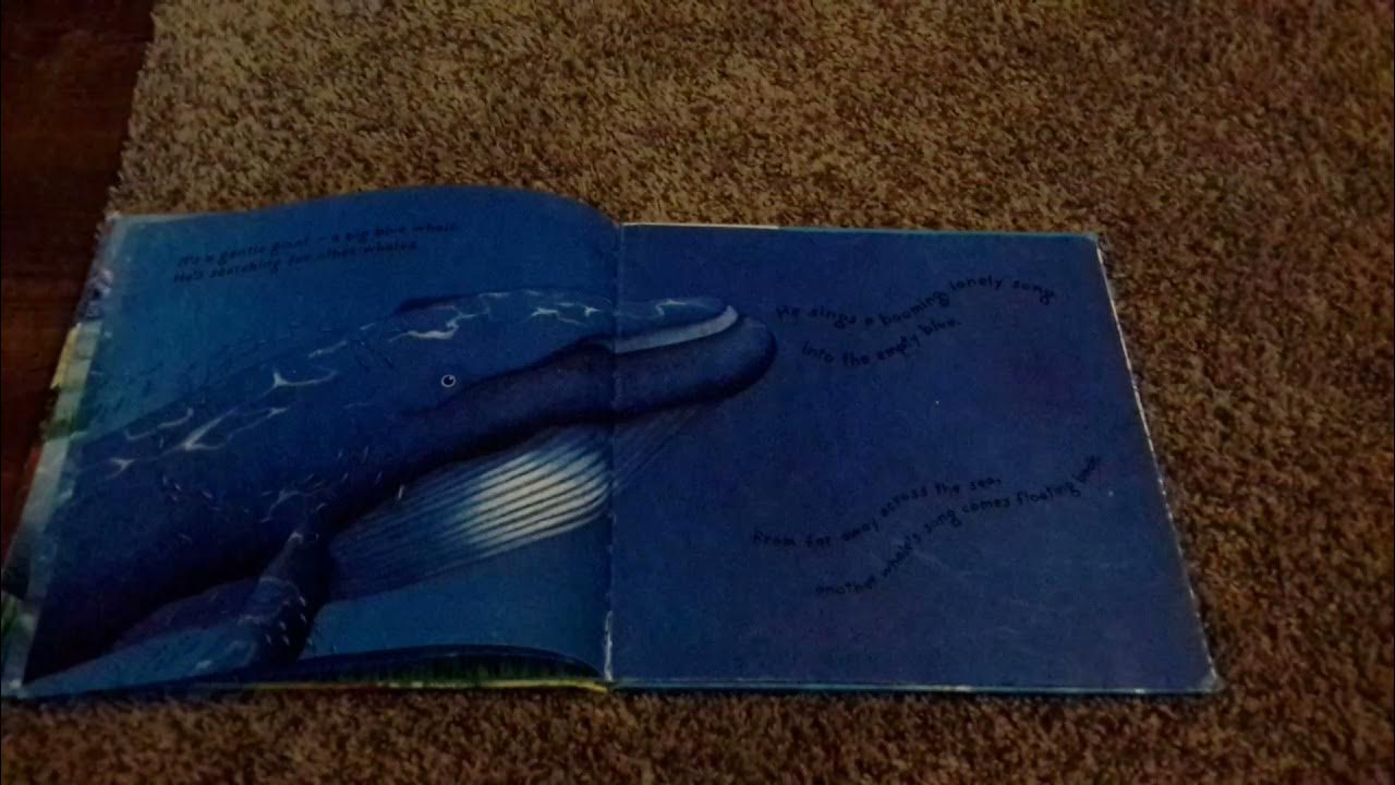 Under the Sea by Anna Milbourne - YouTube