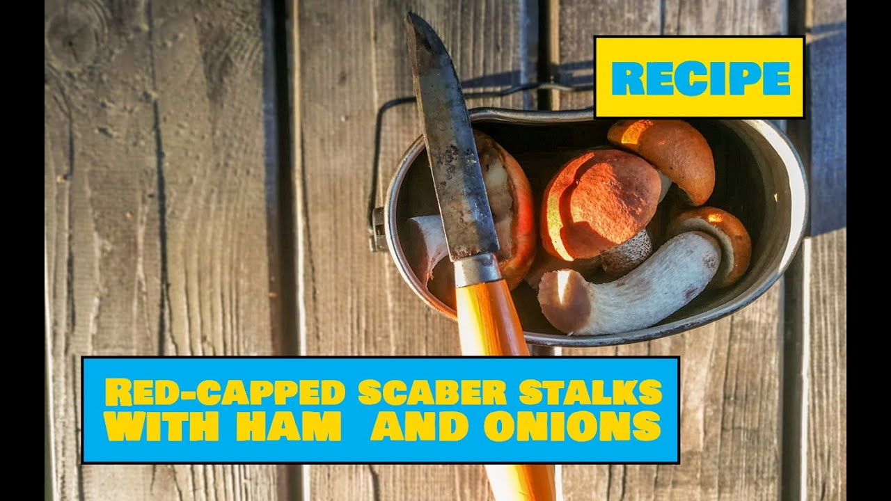 How to Cook Red-capped Scaber Stalk With Ham and Onions Over a Campfire ...
