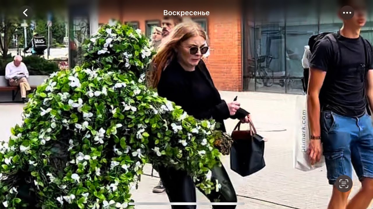 Bushman prank. Shadow Lurking in the Leaves. - YouTube