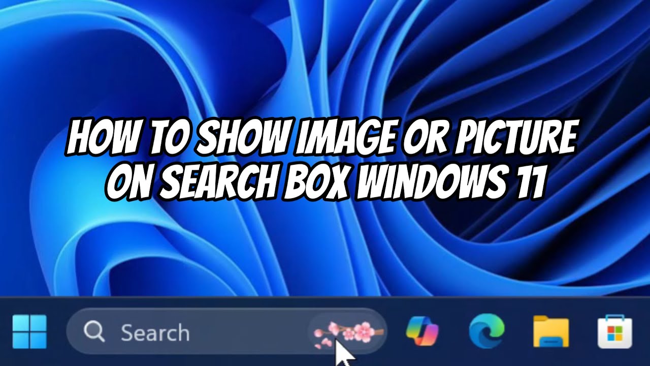 How to Show Image or Picture on Search Box Windows 11 - YouTube