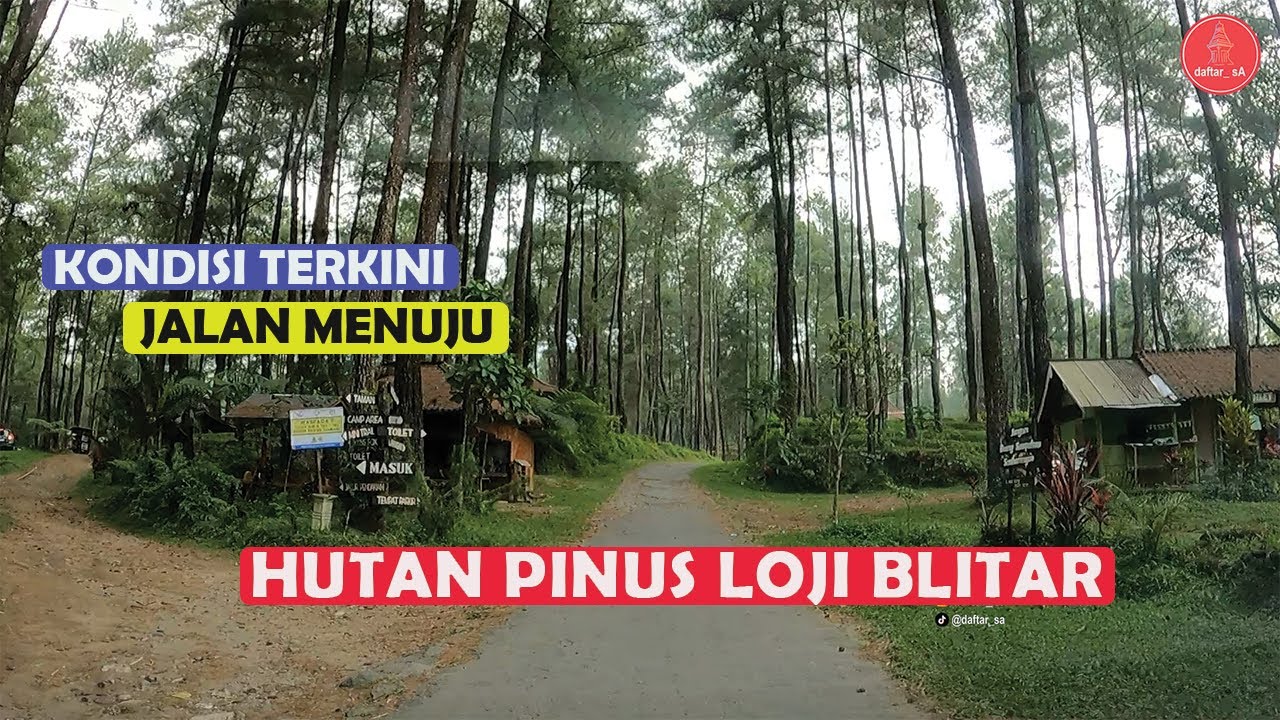 Kondisi terkini // Jalan Menuju HUTAN PINUS LOJI BLITAR - YouTube