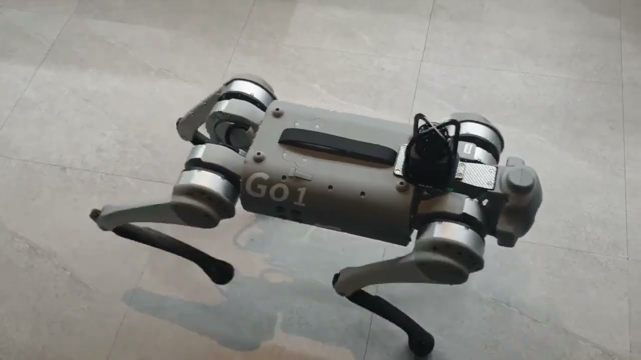 Unitree Robot dog Go1 opening - YouTube