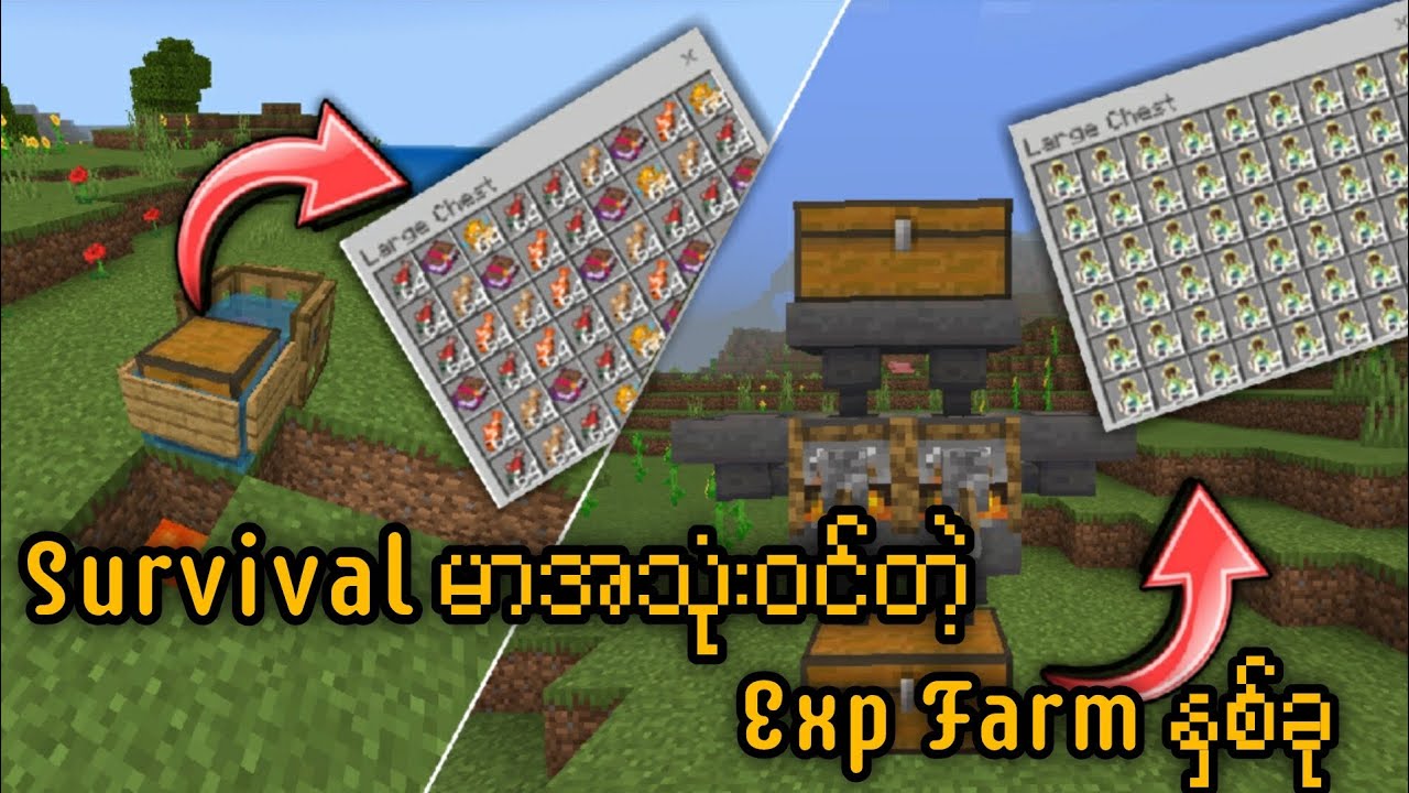 Survival မာ အသုံးဝင်စေမဲ့ Exp Farm နှစ်ခု - YouTube